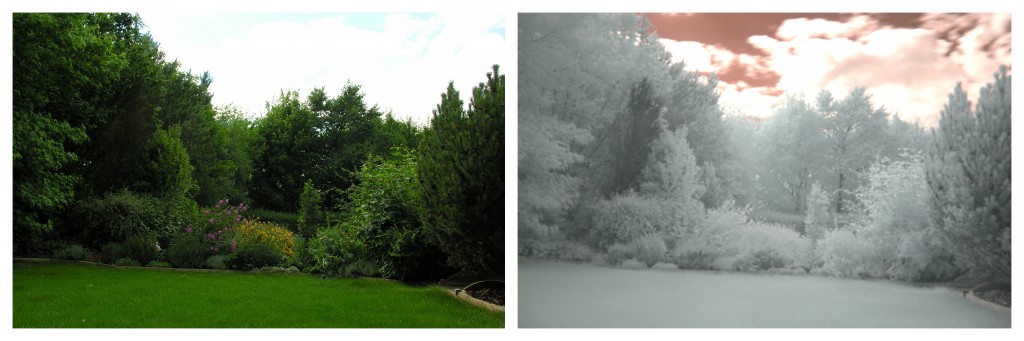 La photographie infrarouge - YANN PHILIPPE